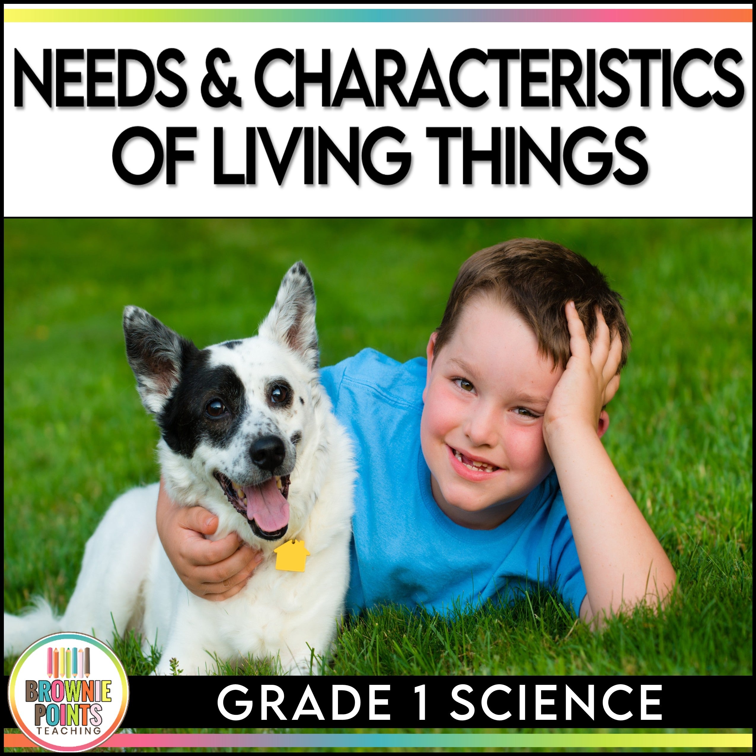 Needs and Characteristics of Living Things – Brownie Points Teaching Shop